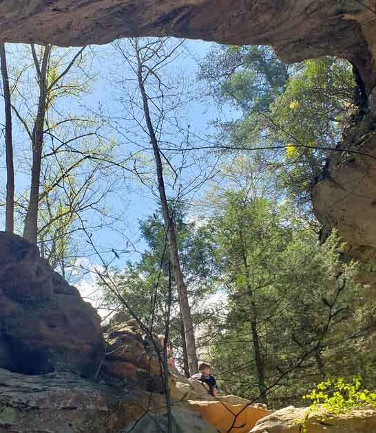 breathtaking forest gorge kentucky ftr