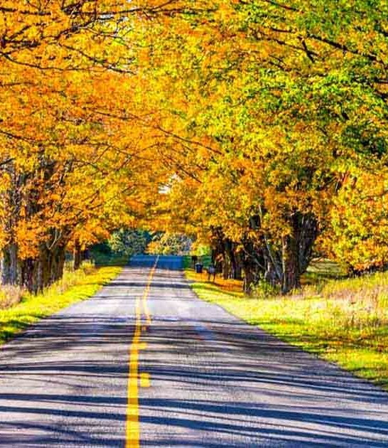 breathtaking michigan roads ftr