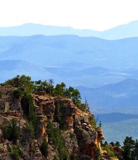 breathtaking national forest arizona ftr