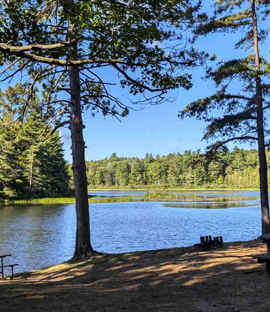 breathtaking new york park ftr