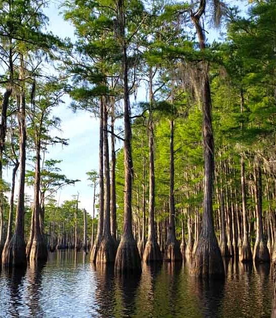 breathtaking state park georgia ftr