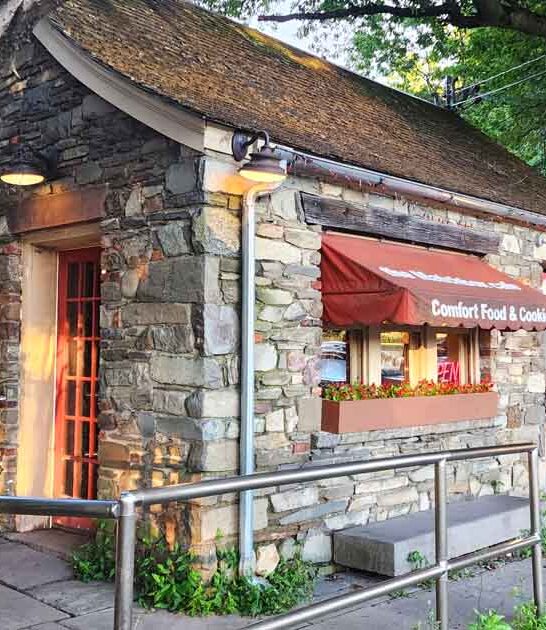 burgers new york bite ftr