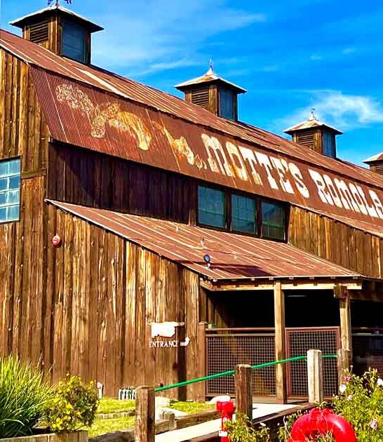 This Old-Fashioned California Barn Hides A Stunning Collection Of Vintage Automobiles