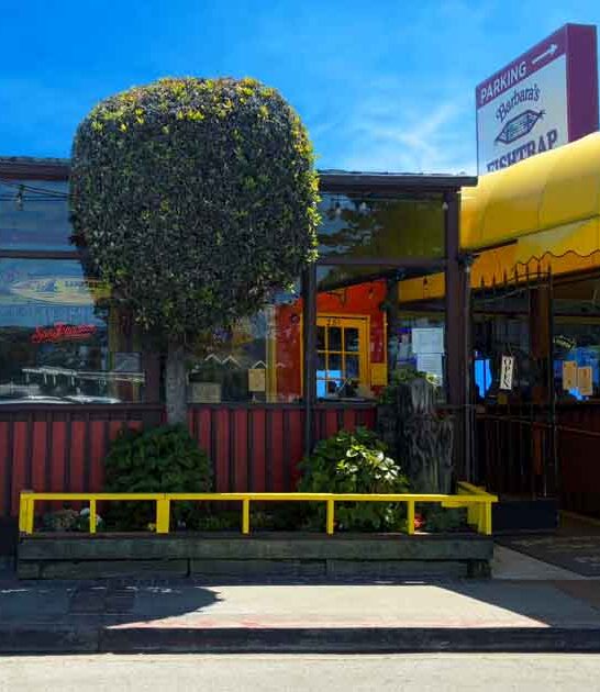 california delightful seafood shack ftr