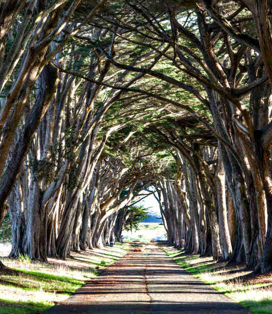 california enchanting places ftr