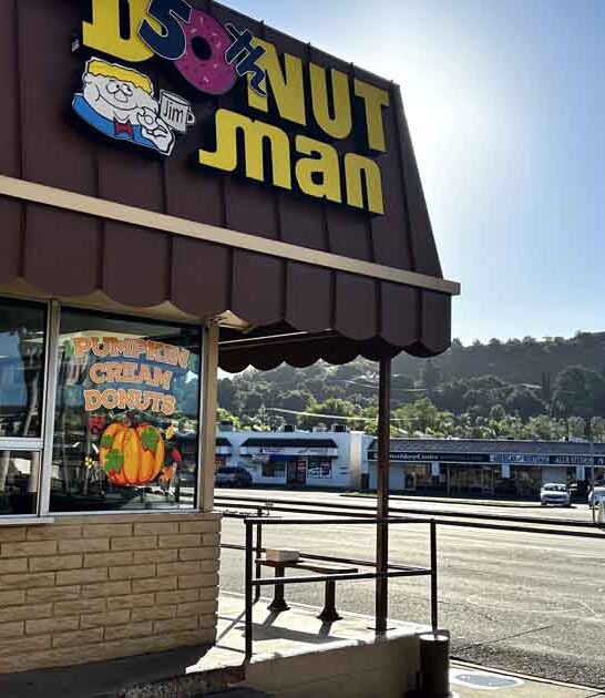 california fashioned donut shops ftr