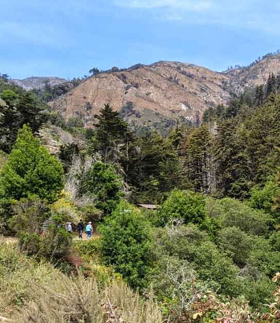 california hike easy trails ftr