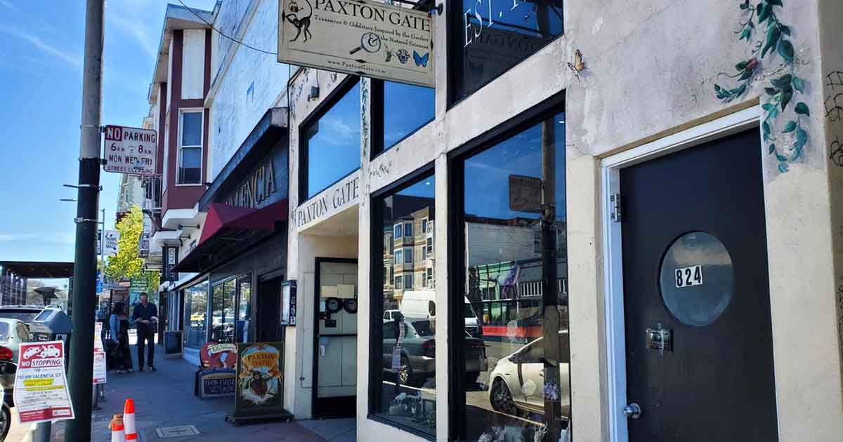 The Quirky Little Curiosity Shop In California That's Filled With ...