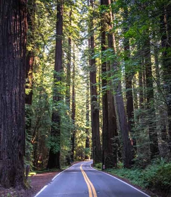 california road trips ftr