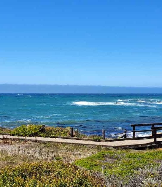 The Stunning California Boardwalk That Will Take Your Breath Away At Every Turn