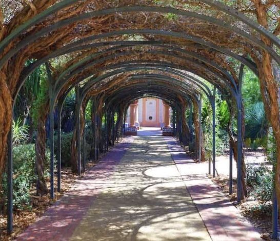 california secret botanical garden ftr