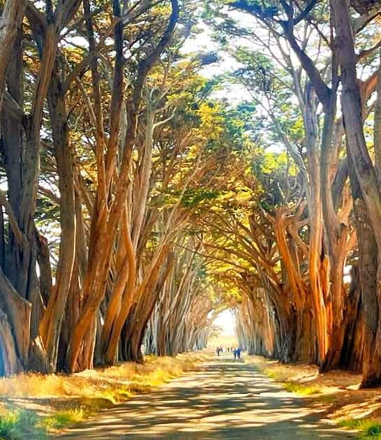 california secret enchanting spots ftr