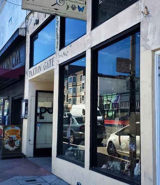 california shop strange treasures ftr