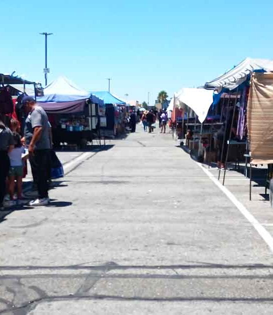california swap meet visit ftr