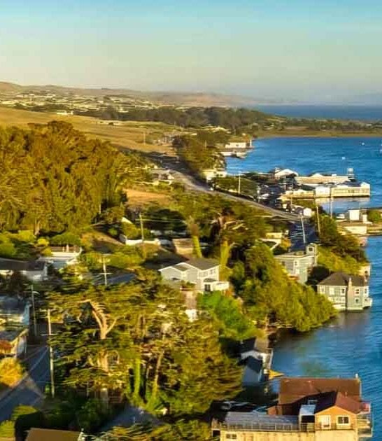 california town incredible seafood ftr