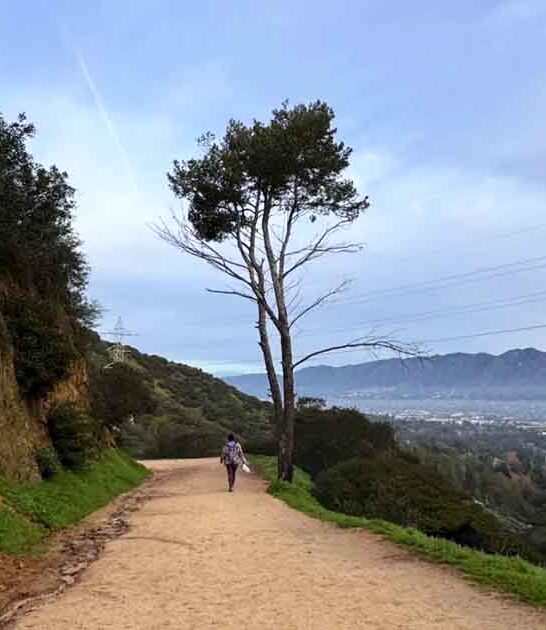 california unforgettable family hikes ftr