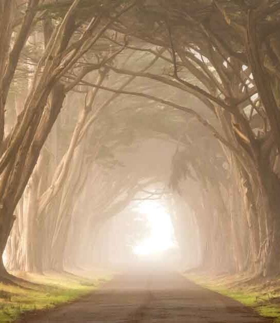 10 Hidden Gems In California That Will Stop You Dead In Your Tracks