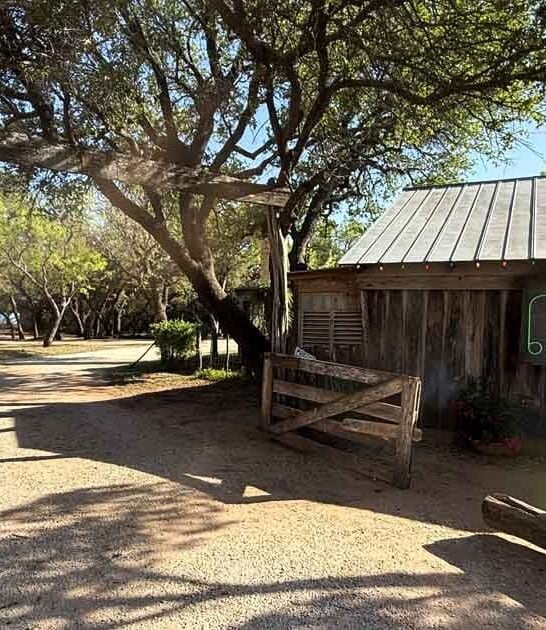 carnivores love steakhouses texas ftr