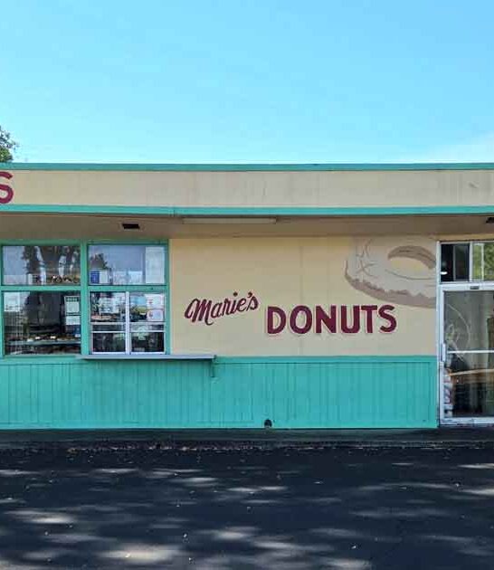 charming donut shops california ftr