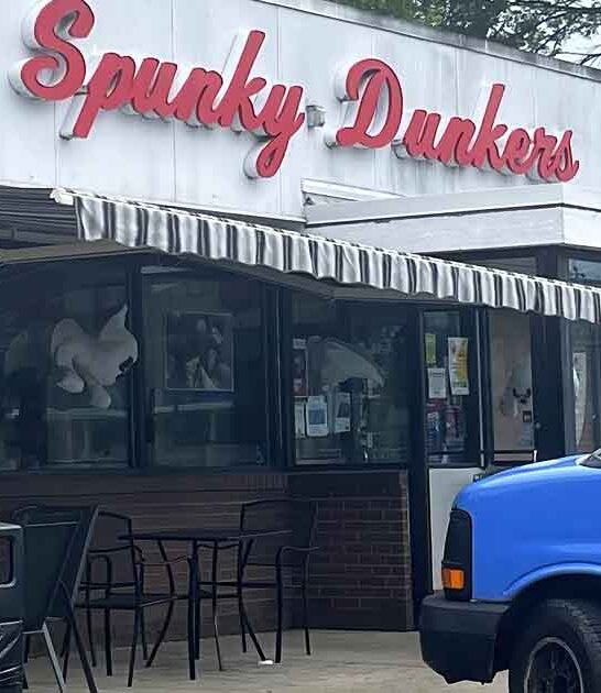 charming donut shops illinois ftr