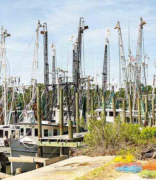 charming south carolina village ftr