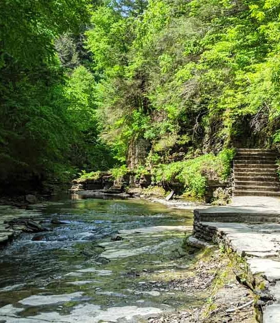 cheap destinations new york ftr