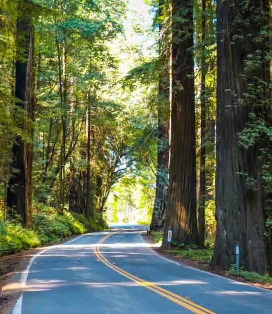 cheap road trip california ftr