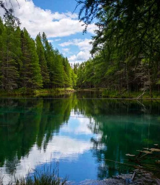 cheap road trip michigan ftr