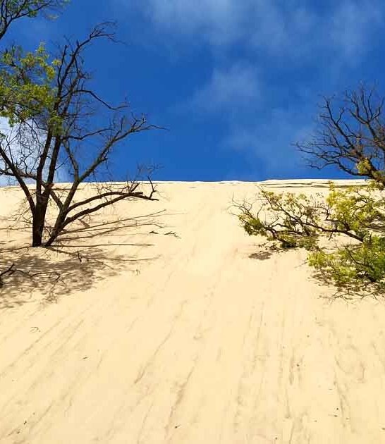 cheap trip destinations indiana ftr