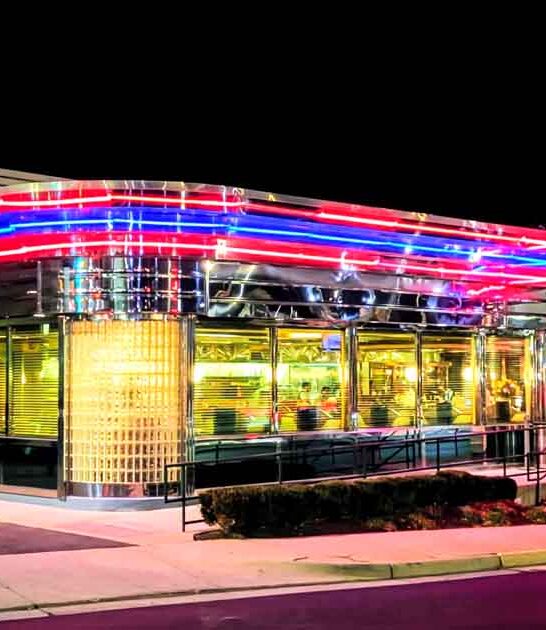 chrome neon diner virginia ftr