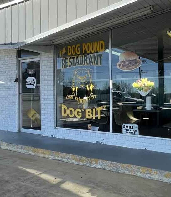 classic kentucky hot dog ftr