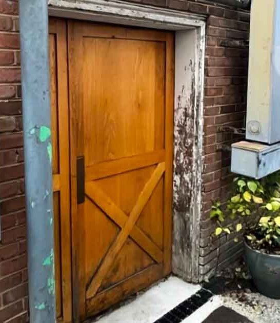 cocktail bar virginia escargot ftr