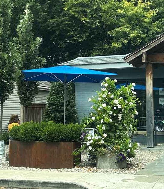 coffee outdoors kentucky ftr