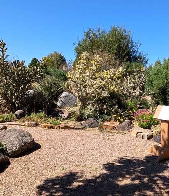 colorado garden butterfly house ftr