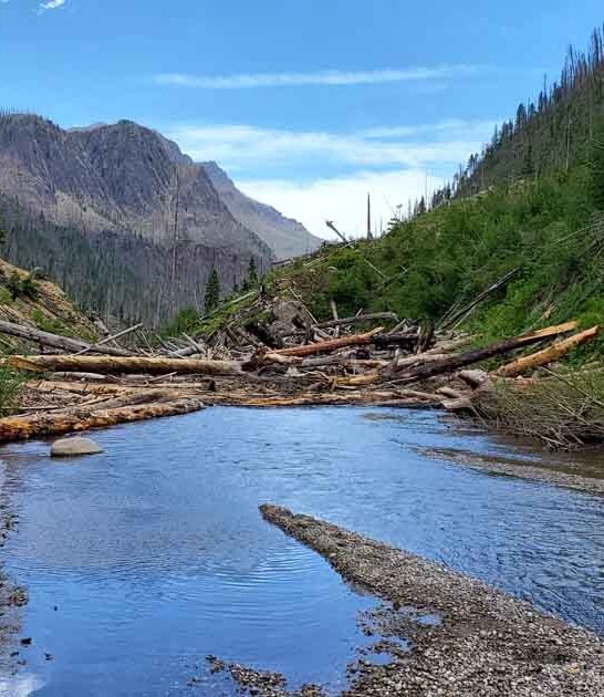 colorado incredible natural spring ftr