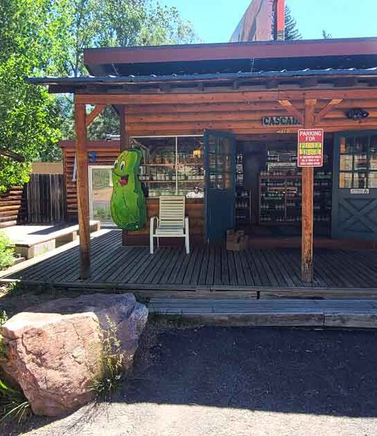 colorado pickle grocery adventure ftr