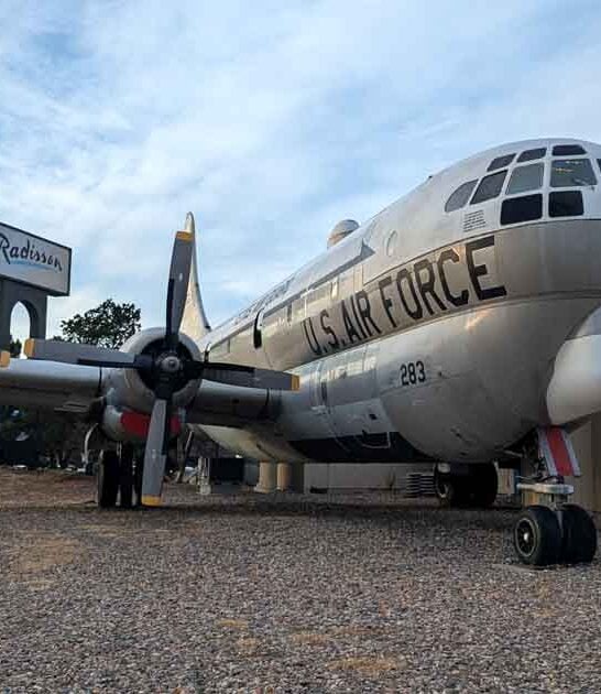 colorado restaurant wonderfully weird ftr