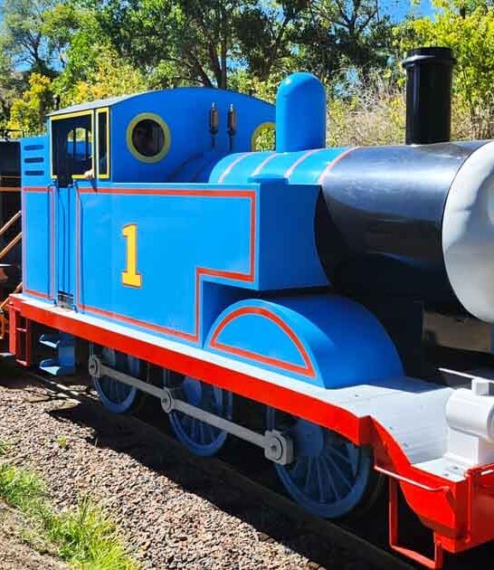 colorado whimsical train ride ftr