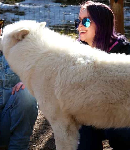 colorado wolf ranch experience ftr