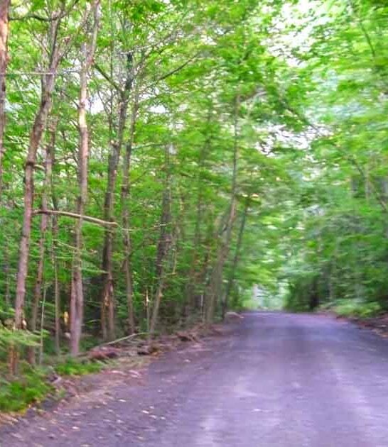 connecticut destinations downright terrifying ftr