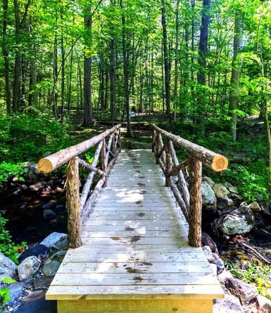 connecticut enchanting garden ftr