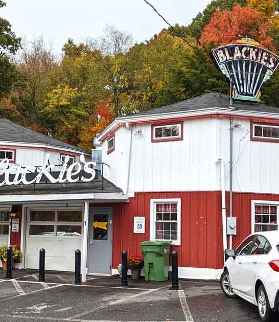 connecticut hot dog stand ftr