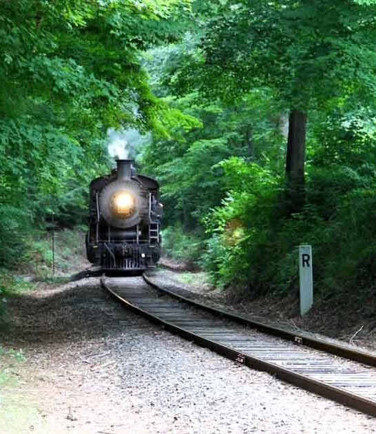 connecticut whimsical train ride ftr
