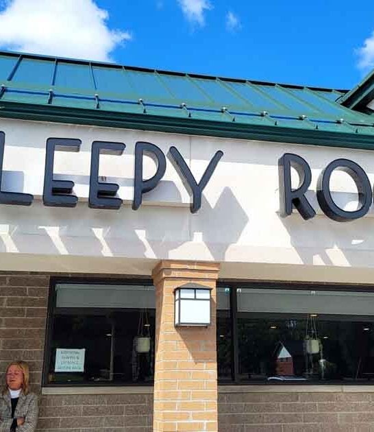 cozy diner ohio town ftr