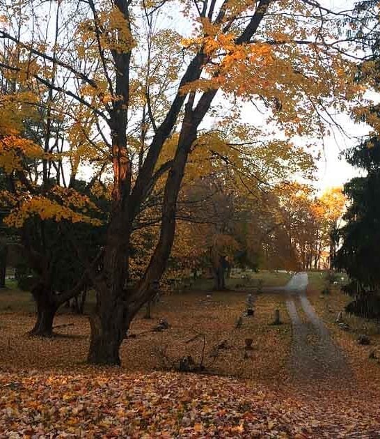 creepy places michigan dark ftr