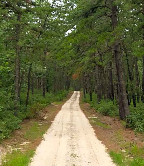 creepy spots new jersey ftr