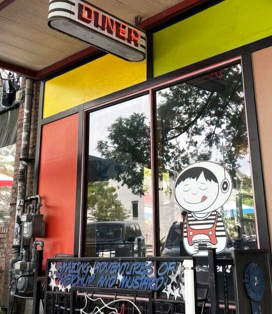 delicious georgia retro diner ftr