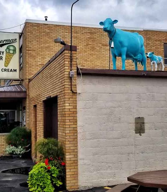 delightful dessert shop michigan ftr