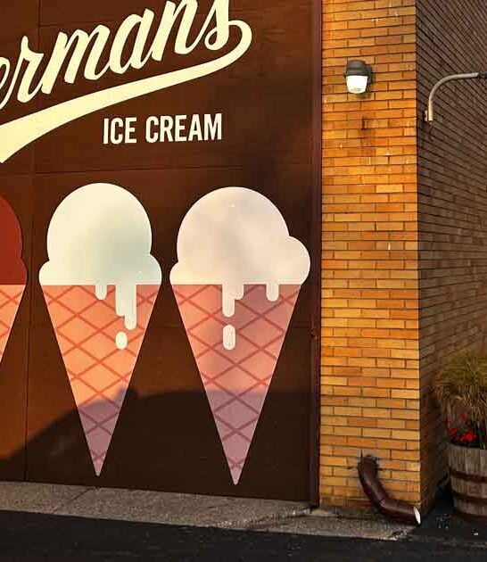 delightful michigan dessert shop ftr