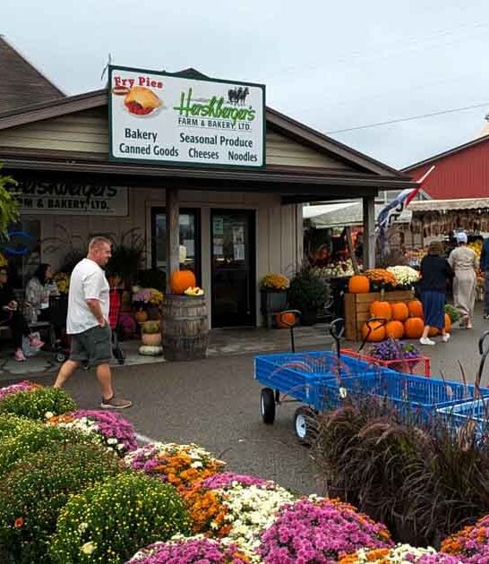 delightful ohio farm bakery ftr